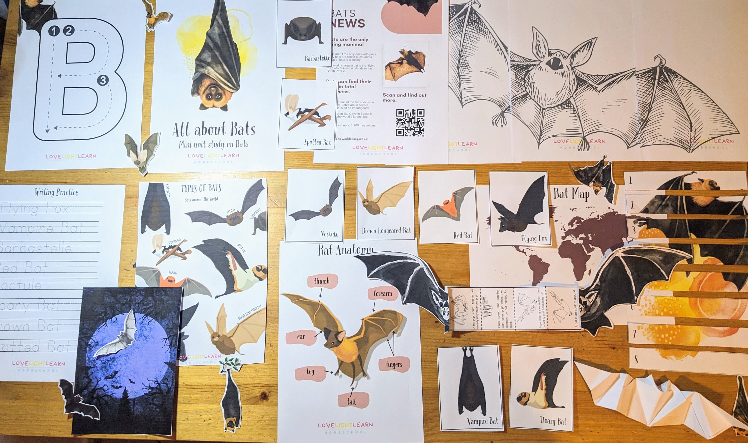 Bats Mini Study Printable Preschool Curriculum Homeschool Printable ...