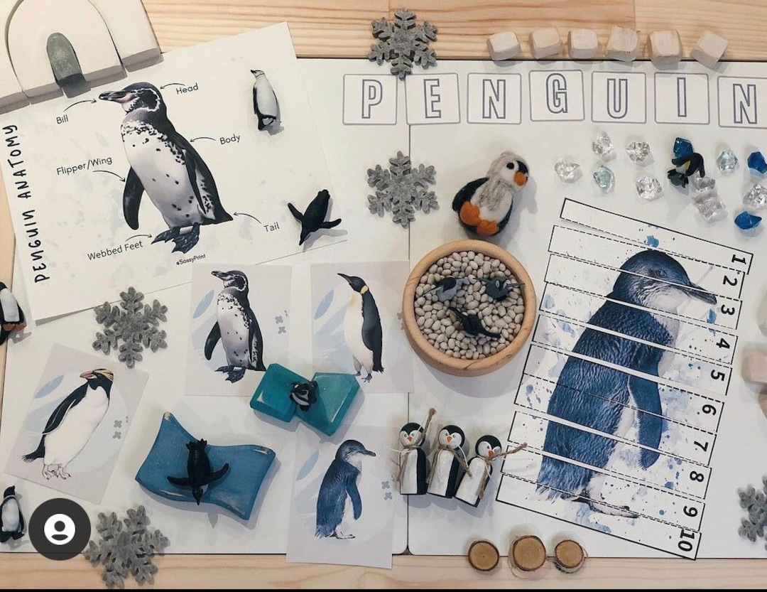 Penguin Printable | Preschool Curriculum | Homeschool Printable ...