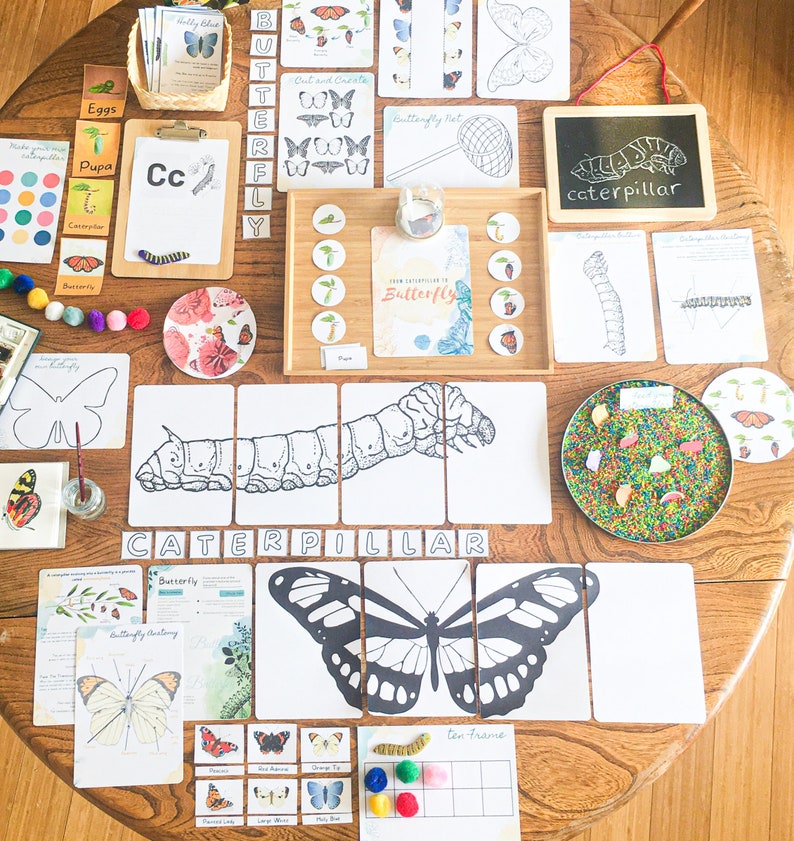 Caterpillar to Butterfly Printable Preschool Curriculum Homeschool ...