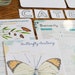 Caterpillar to Butterfly Printable | Preschool Curriculum | Homeschool ...
