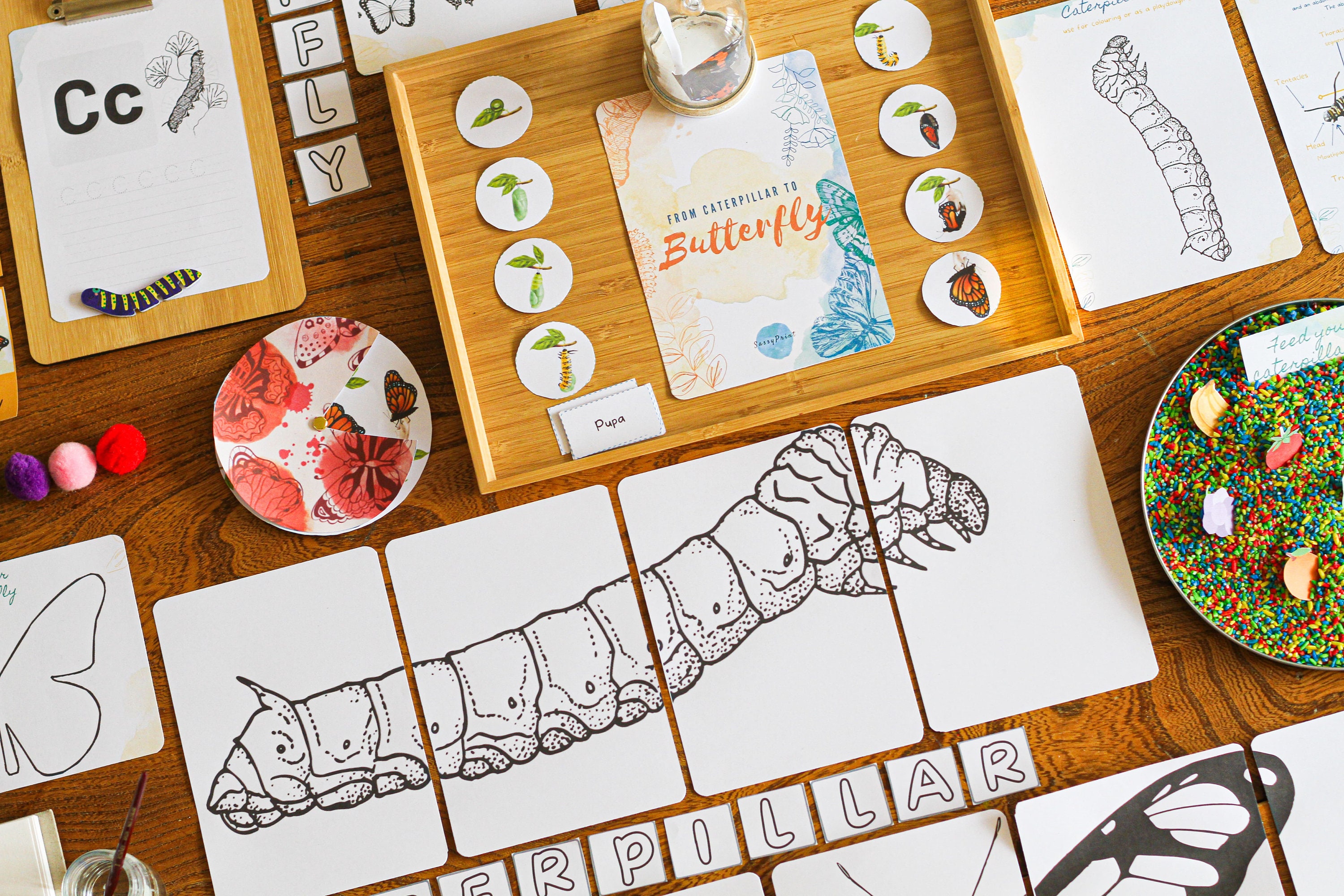 Caterpillar to Butterfly Printable Preschool Curriculum Homeschool ...