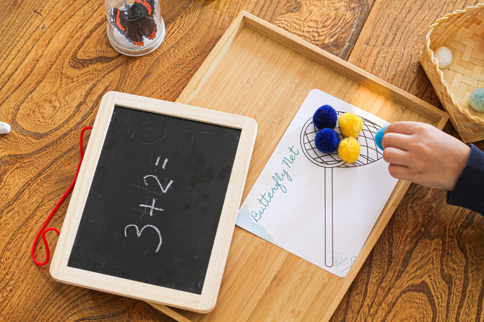 Caterpillar to Butterfly Printable | Preschool Curriculum | Homeschool ...