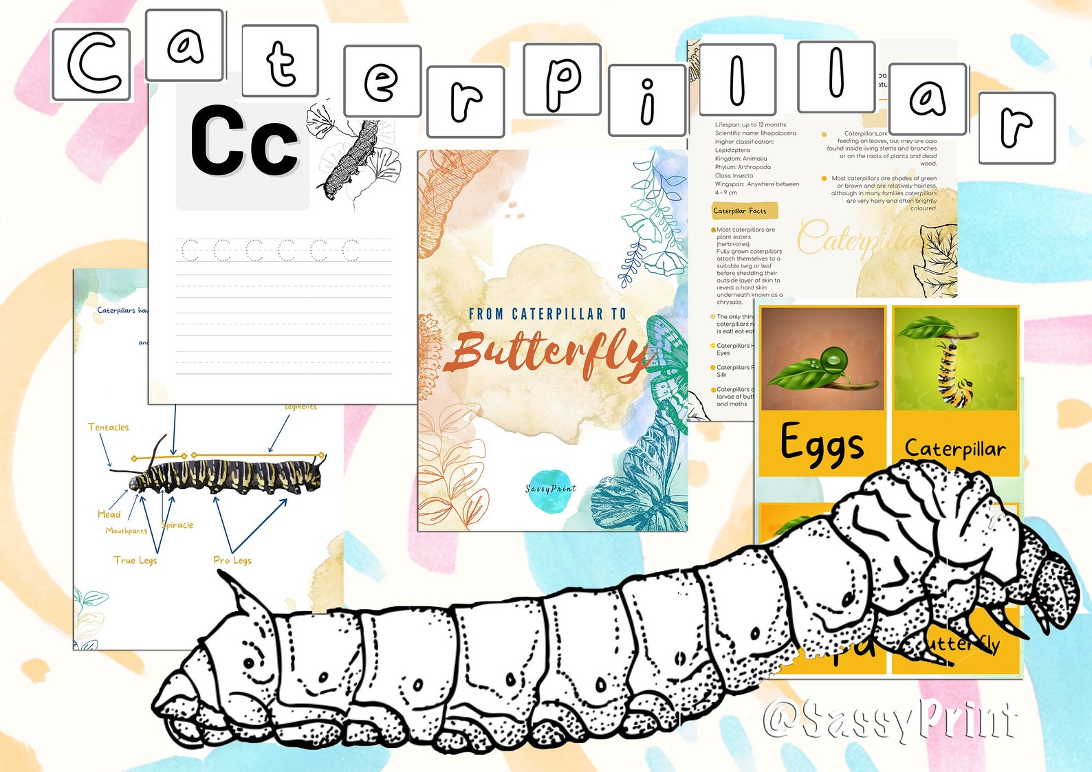 Caterpillar to Butterfly Printable Preschool Curriculum - Etsy