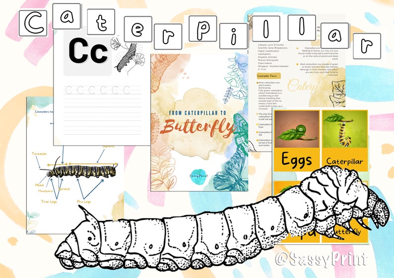 Caterpillar to Butterfly Printable Preschool Curriculum - Etsy