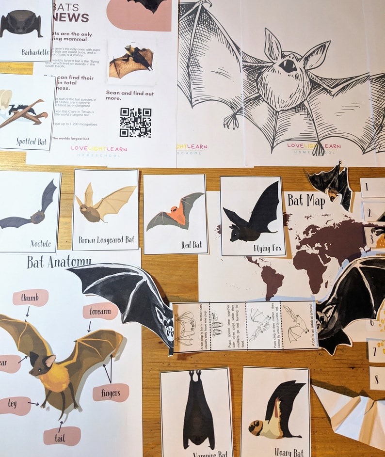 Bats Mini Study Printable Preschool Curriculum Homeschool Printable ...