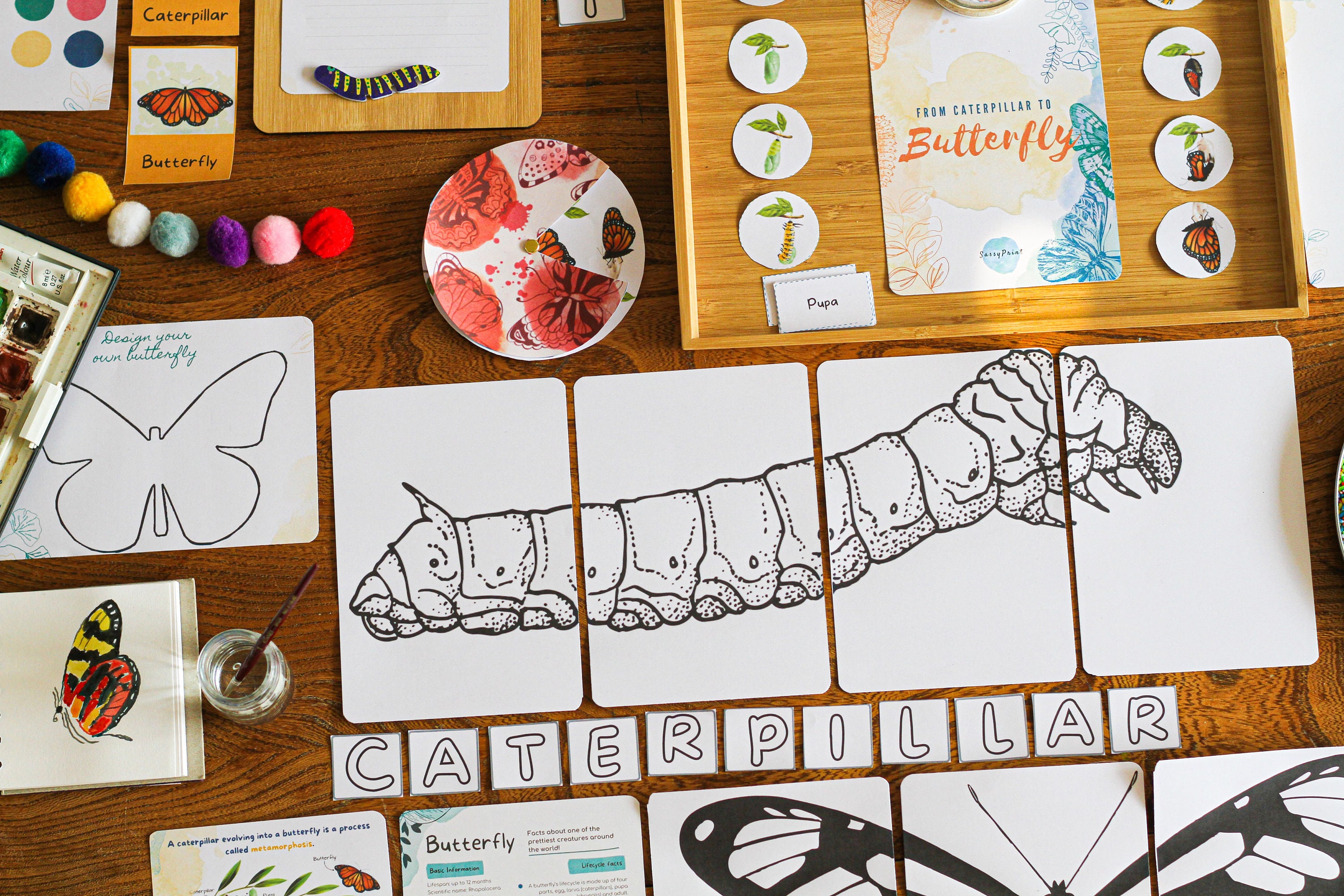 Caterpillar to Butterfly Printable Preschool Curriculum Homeschool ...