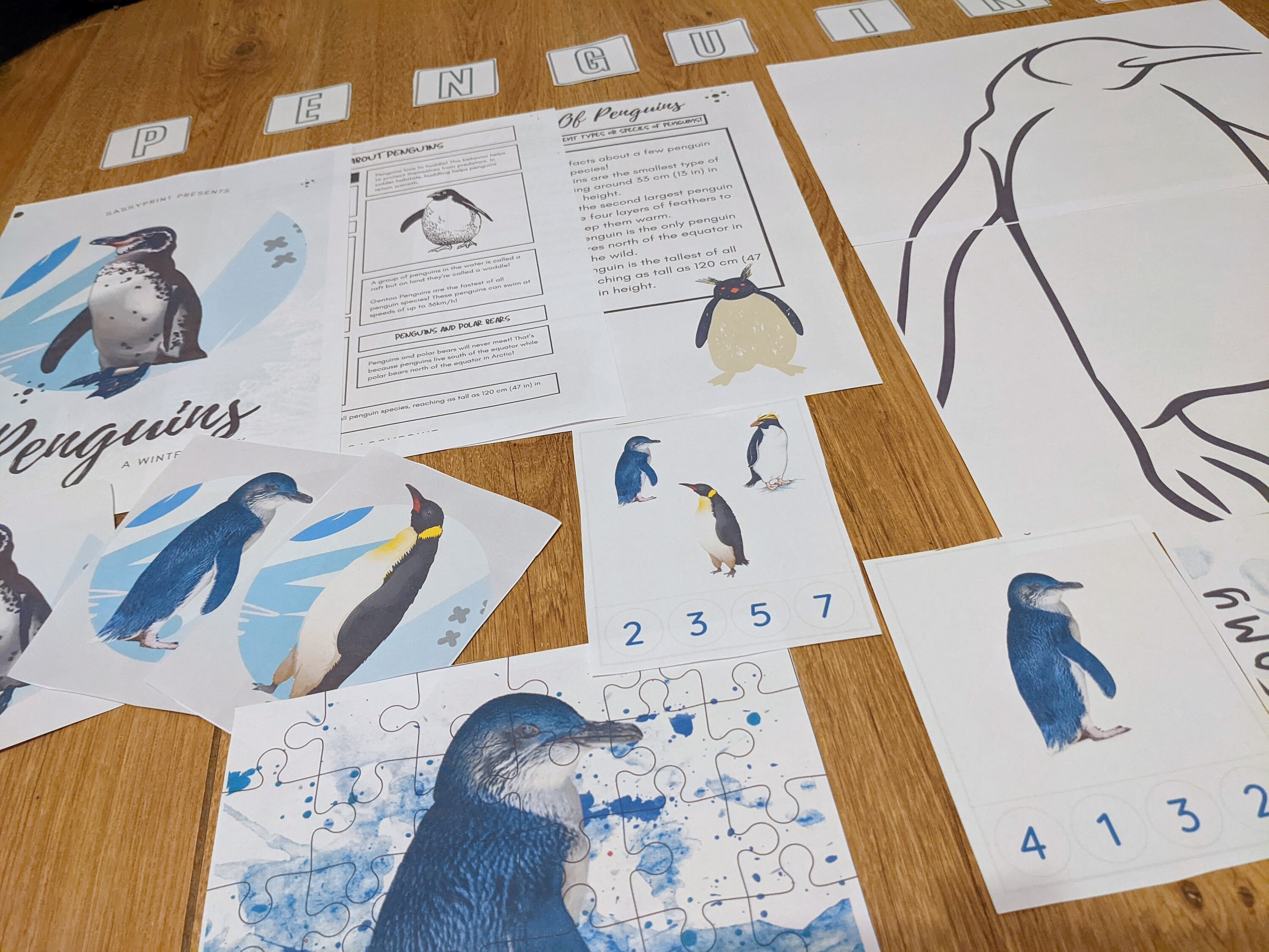 Penguin Printable | Preschool Curriculum | Homeschool Printable ...