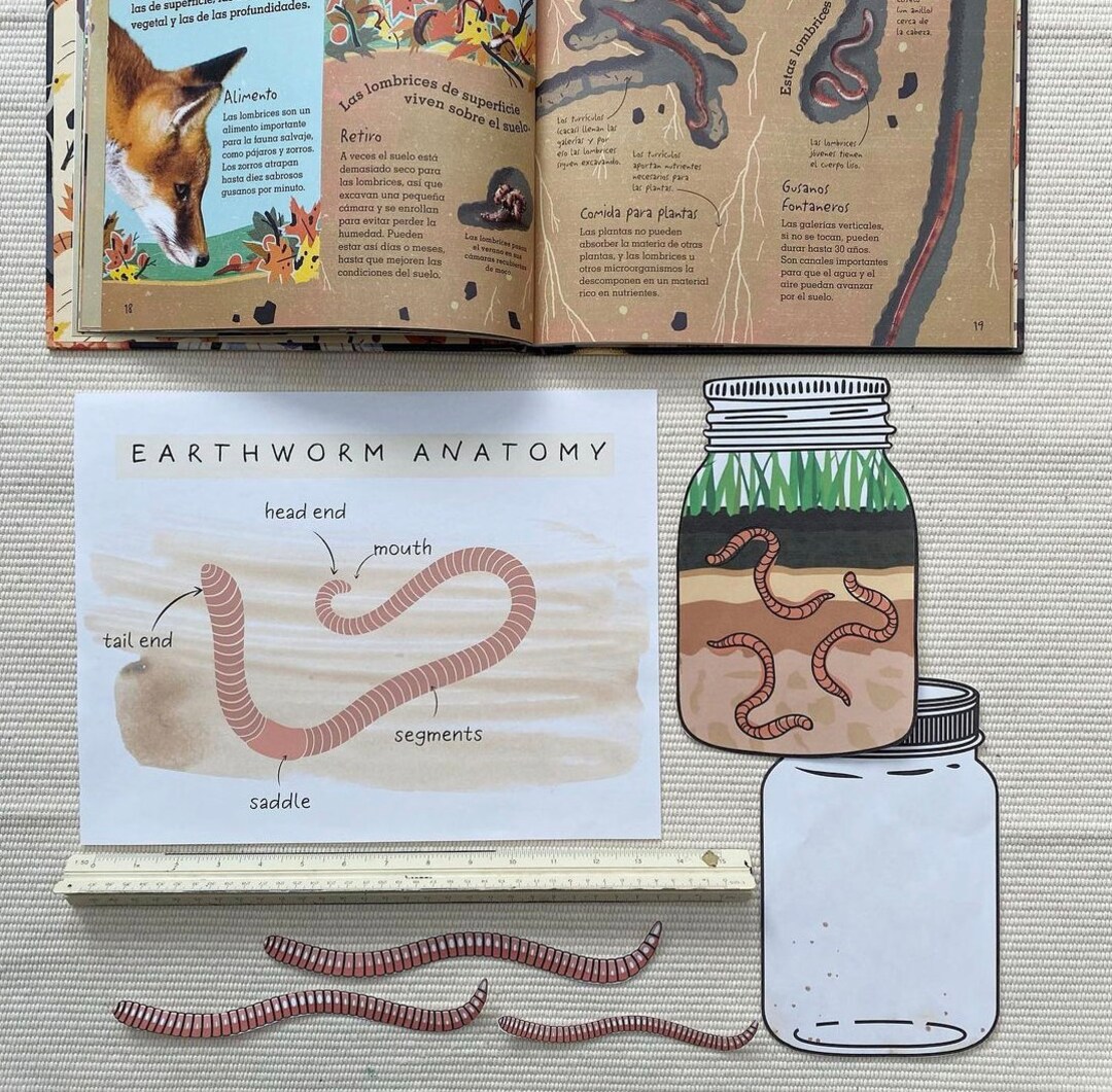 Earthworm Unit Study | Preschool Curriculum | Homeschool Printable ...