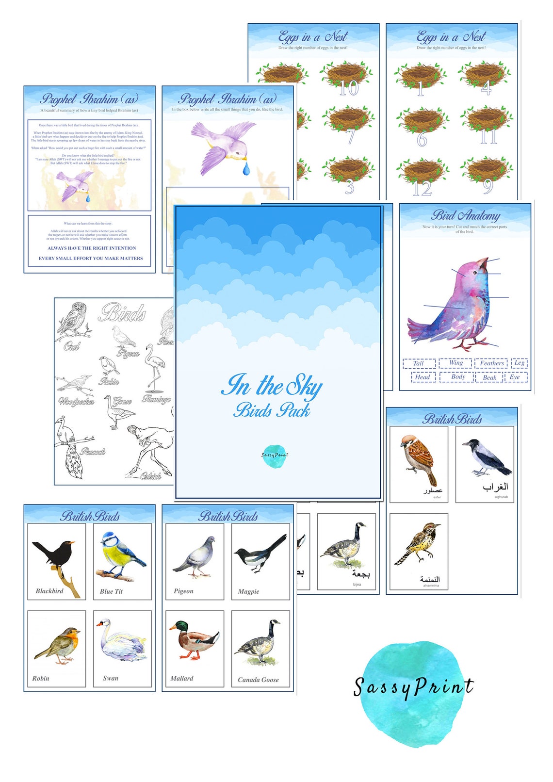 In the Sky Birds Preschool Curriculum Homeschool Printable Digital ...