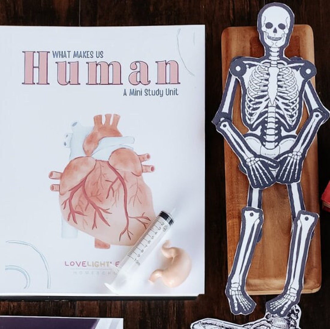 Lets Learn About the Human Body Printable | Preschool Curriculum ...
