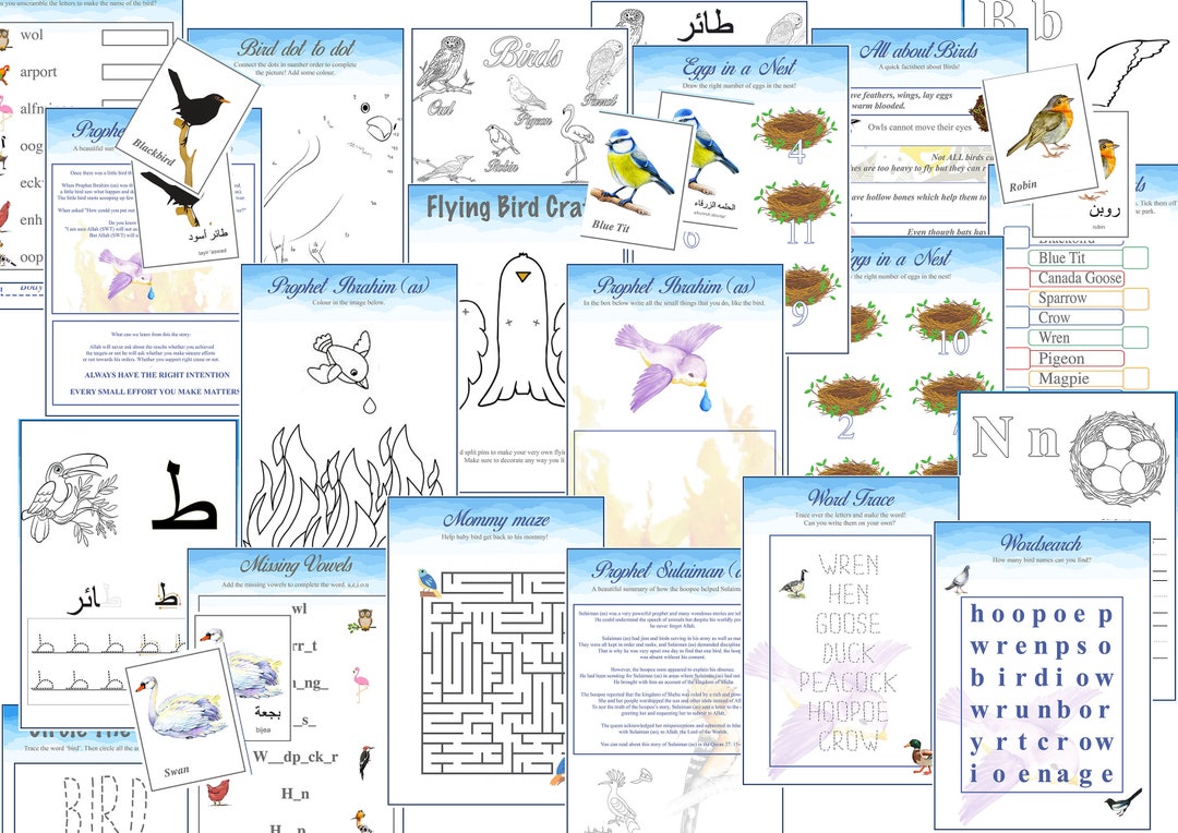 In the Sky- Birds | Preschool Curriculum | Homeschool Printable ...