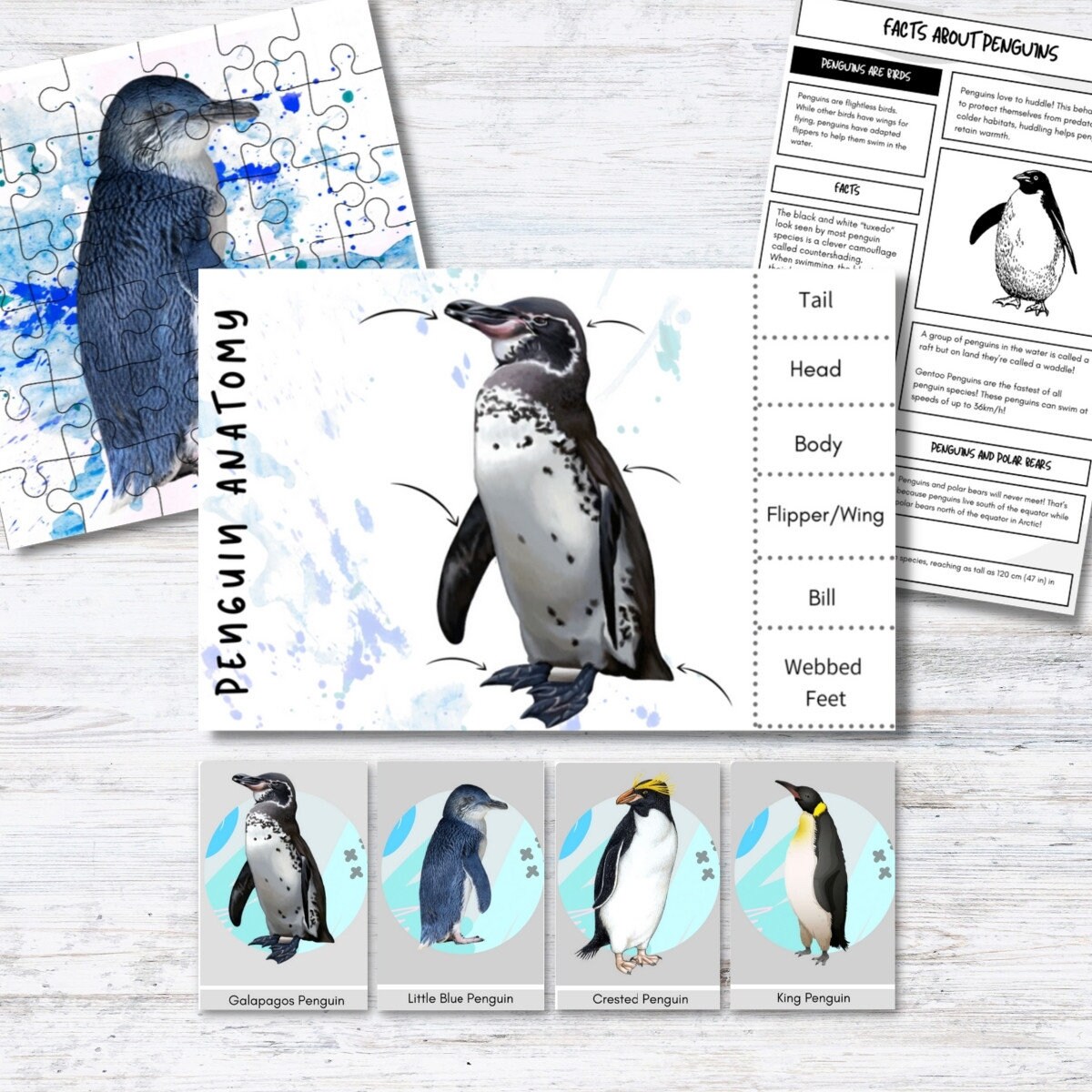 Penguin Printable | Preschool Curriculum | Homeschool Printable ...