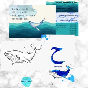 Prophet Yunus and the Whale Educational Resource | Preschool Curriculum ...