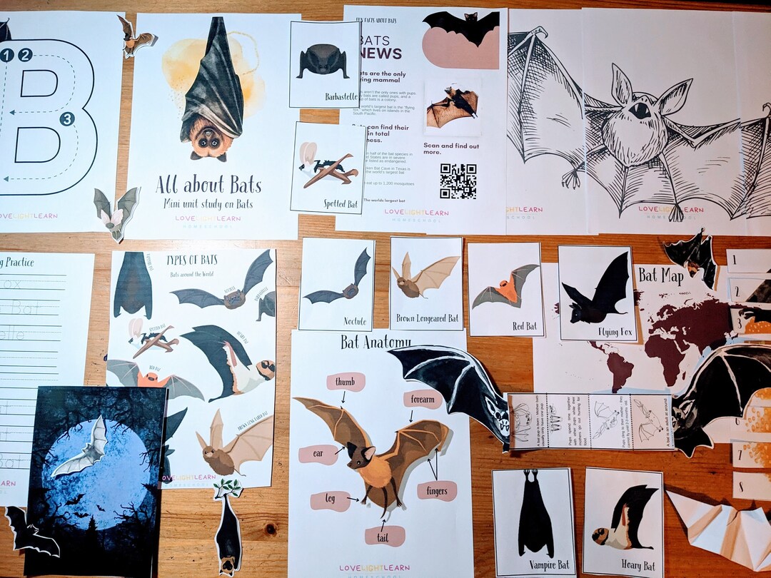 Bats Mini Study Printable | Preschool Curriculum | Homeschool Printable ...