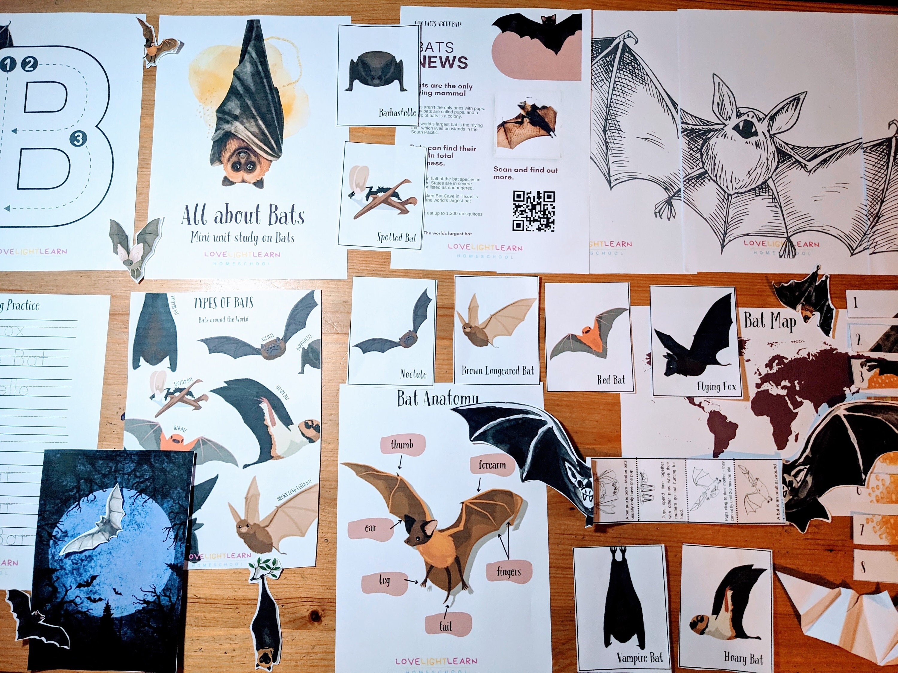 Bats Mini Study Printable | Preschool Curriculum | Homeschool Printable ...