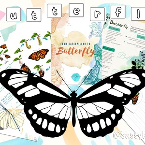 Caterpillar to Butterfly Printable | Preschool Curriculum | Homeschool ...