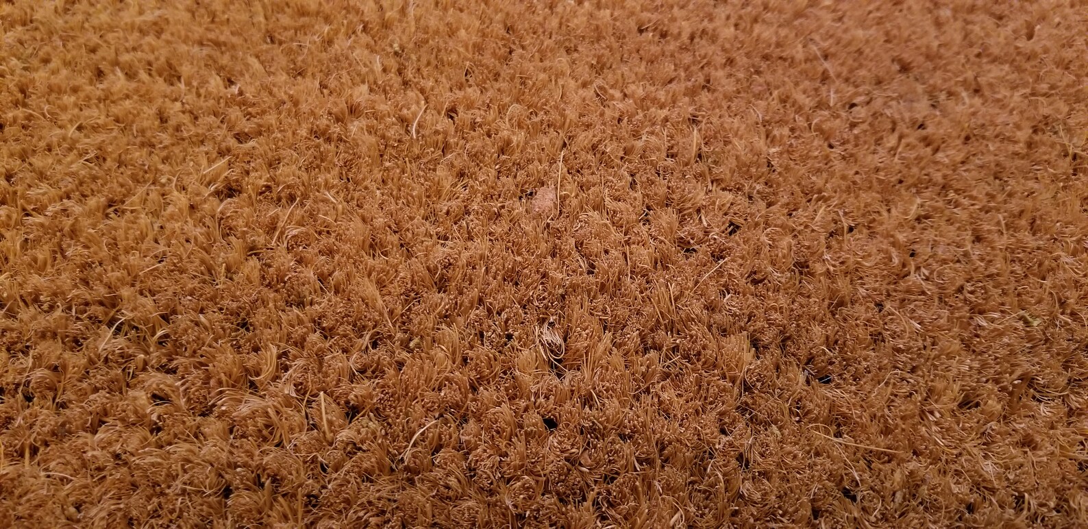 Bigfoot Welcome Mat Sasquatch Outdoor Mat Sasquatch Moon | Etsy