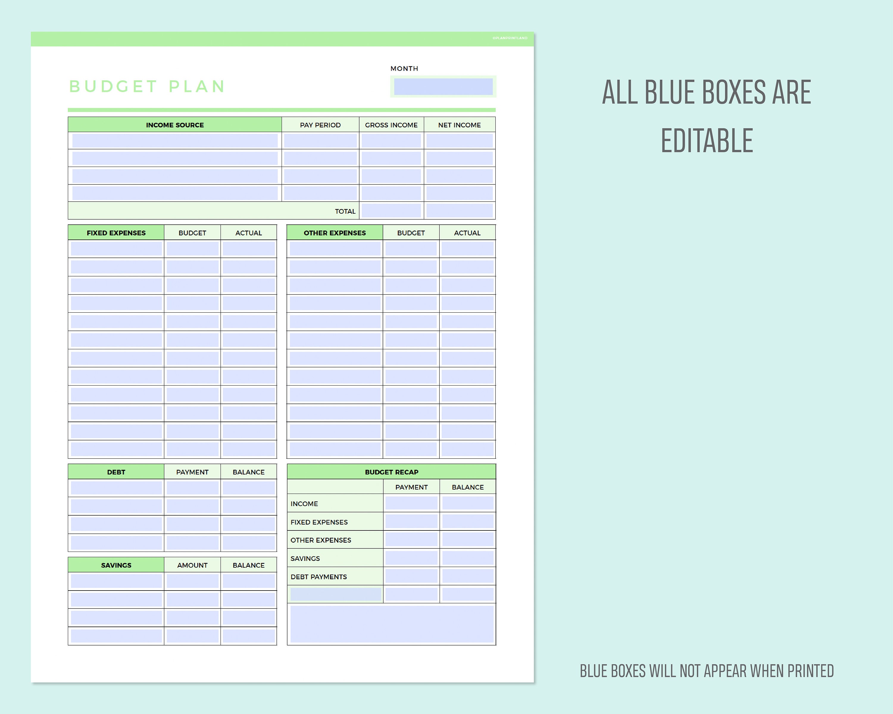 Editable Budget Planner Printable Fillable Budget Template - Etsy