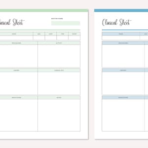Printable Nursing Clinical Sheet, Nurse Clinical Overview, Nurse Report ...