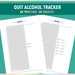A5 Quit Alcohol Tracker, Printable Sobriety Journal, Simple Staying ...