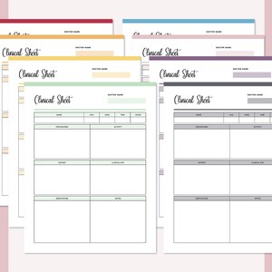 Printable Nursing Clinical Sheet, Nurse Clinical Overview, Nurse Report ...