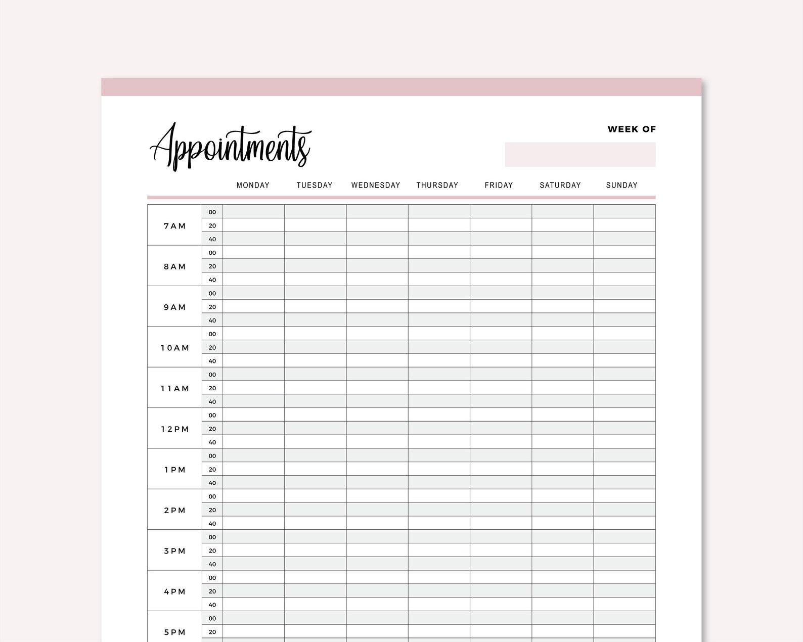 Printable Appointment Book, 20 Minute Interval Appointment Planner ...