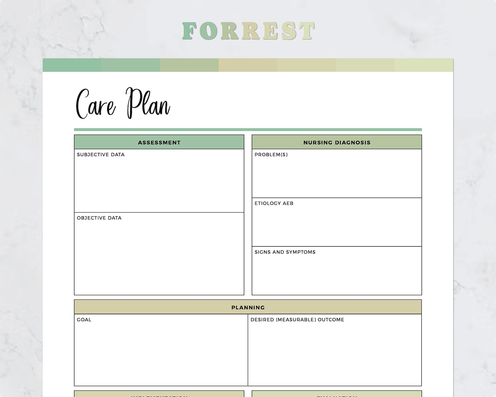 Printable Nursing Care Plan Template, Nursing Student Care Plan, Nurse ...
