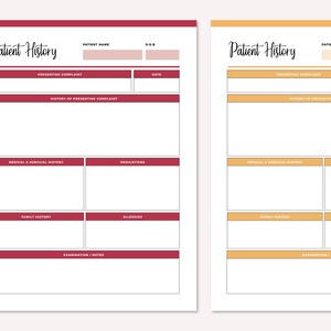 Printable Nursing Patient History Sheet Nursing Student | Etsy