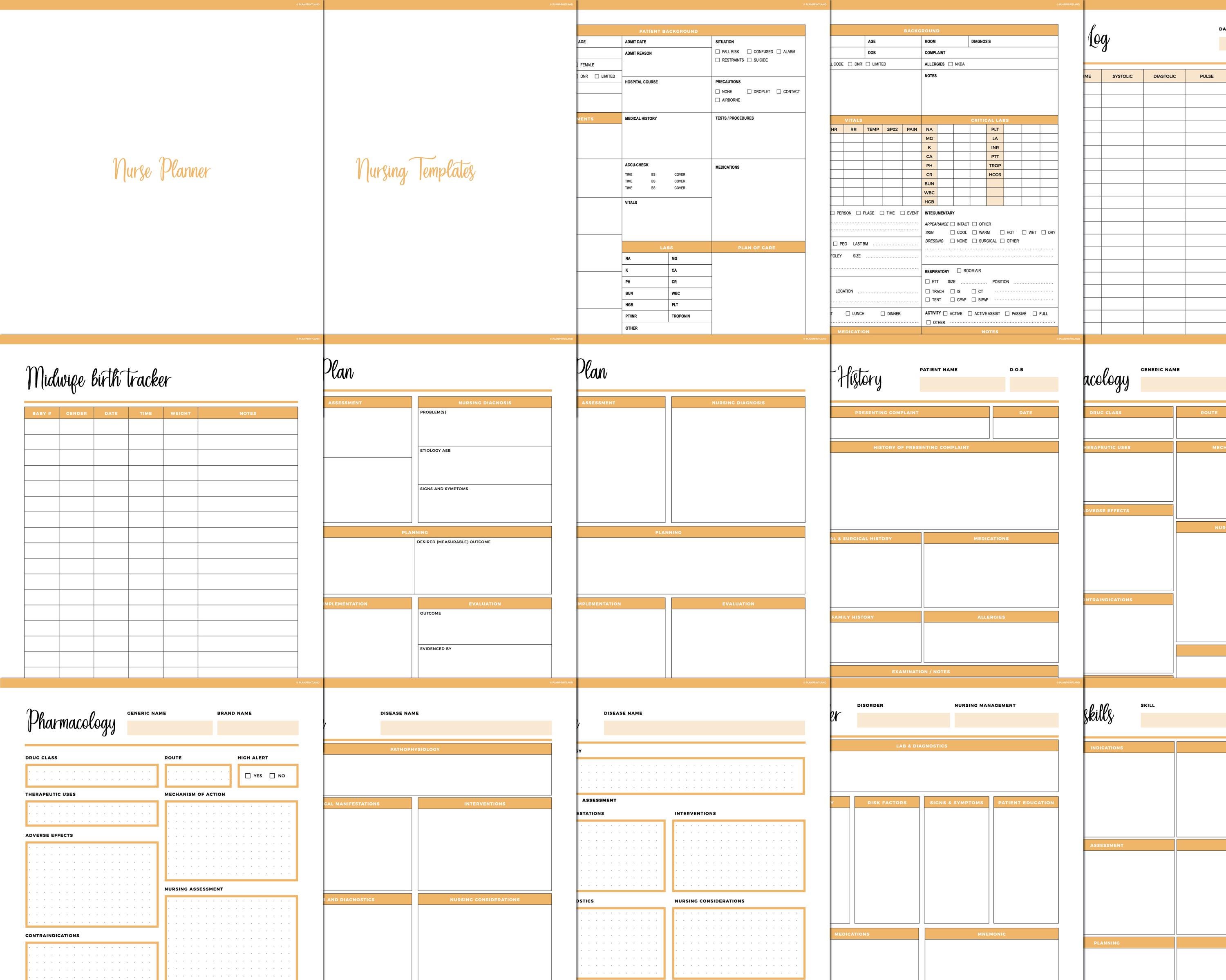 Printable Nurse Planner, Nursing Planner, Planner for Nurses, Nurse Day ...