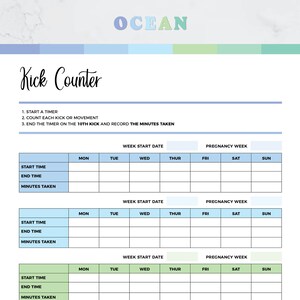 Baby Kick Counter PDF, Fetal Kick Count Log, Baby Movement Tracker ...