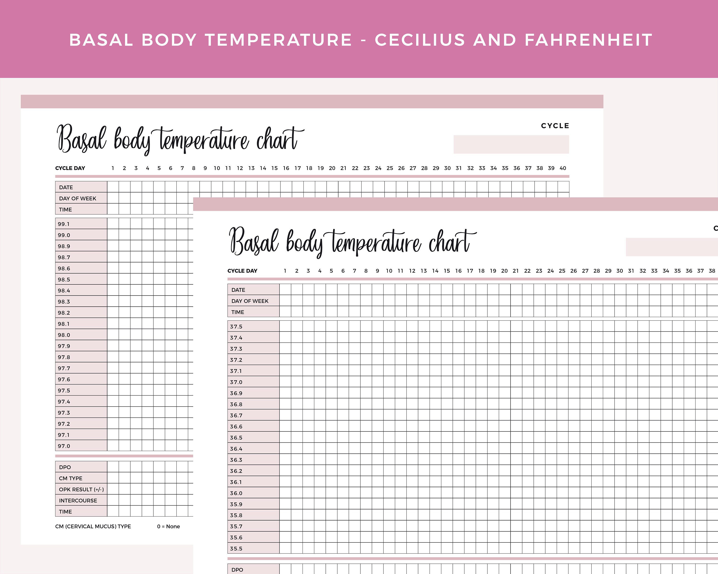 IVF Planner Printable, TTC Journal, Fertility Planner, IUI Medication ...