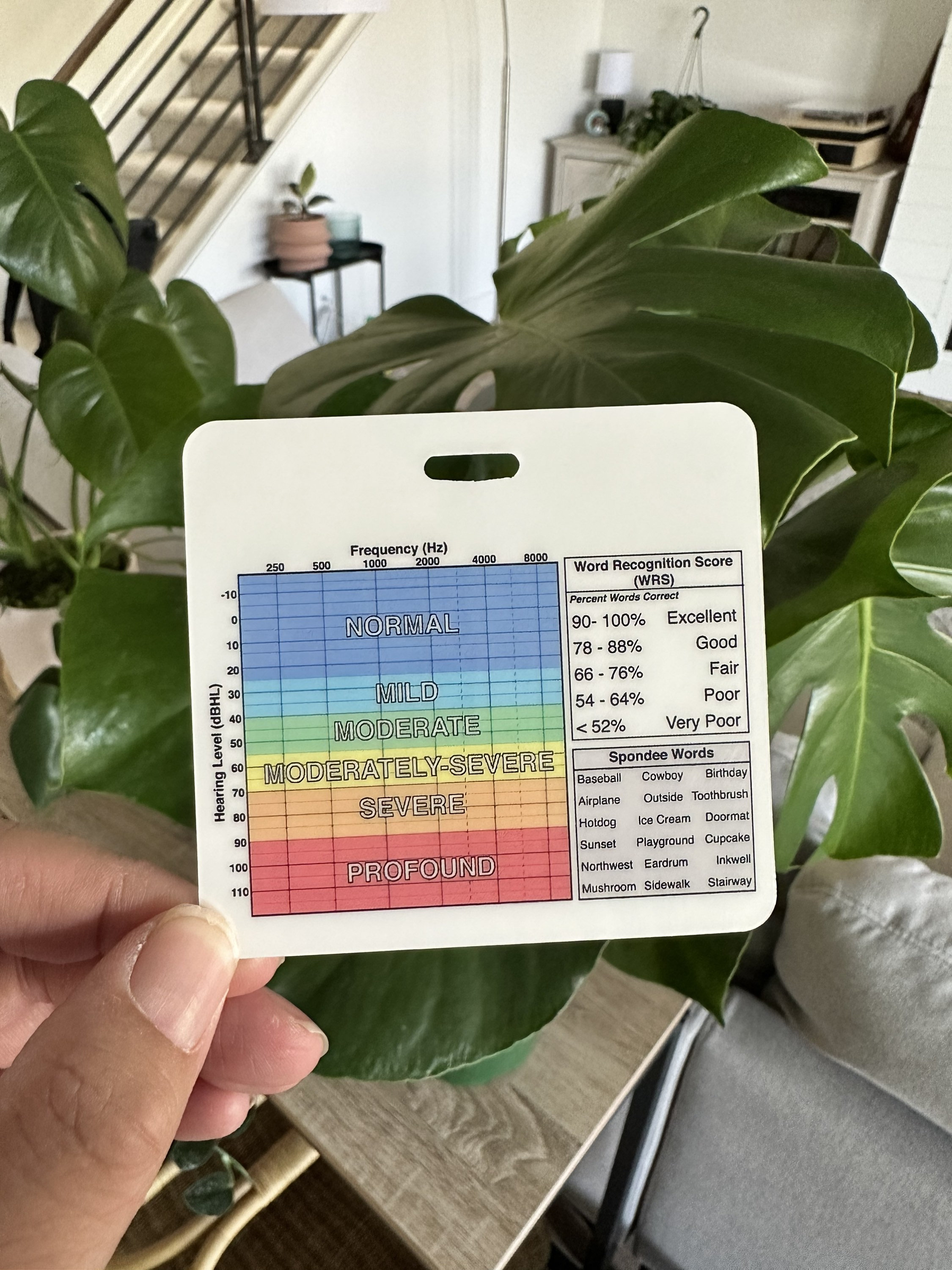 Audiologist Badge Buddy Grad School Audiology Gift - Etsy