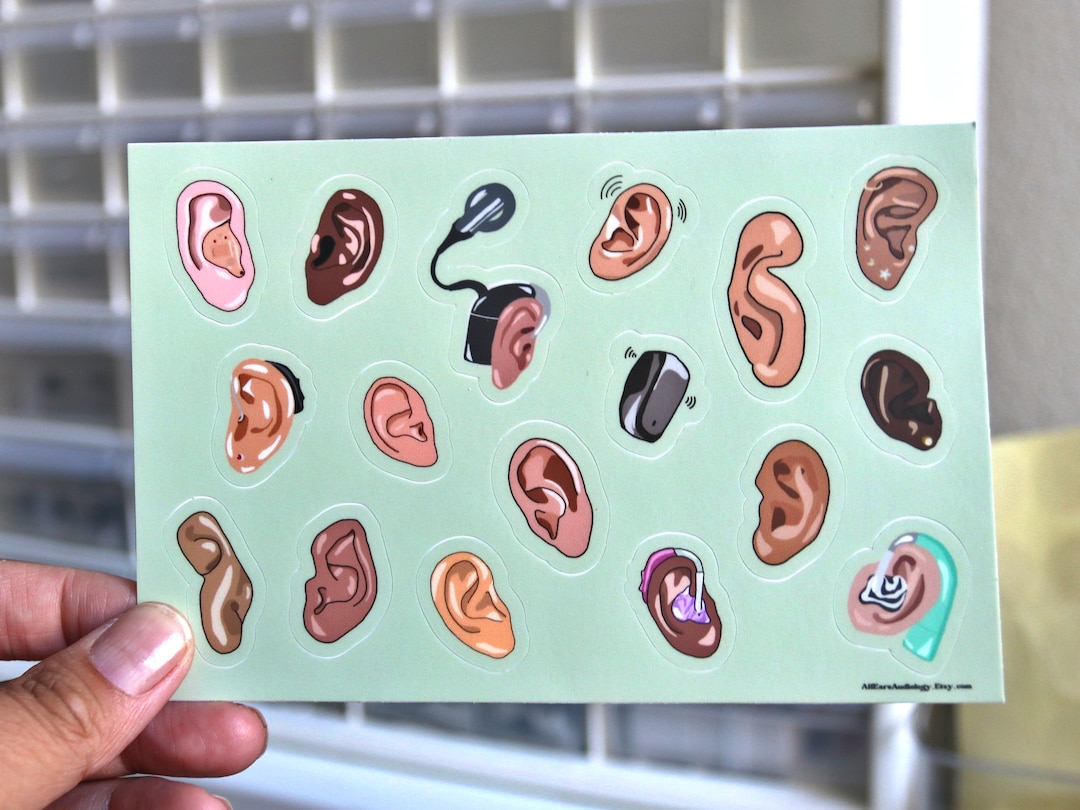 All Ears Vinyl Sticker Sheet 6x4 Audiology, Audiologist, Grad School ...