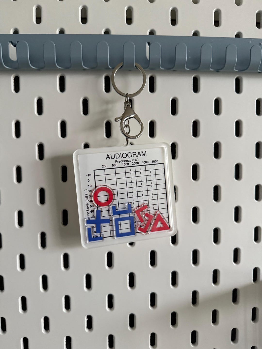 LARGE Audiogram Shaker Keychain, Audiology, Audiology Student, Grad ...