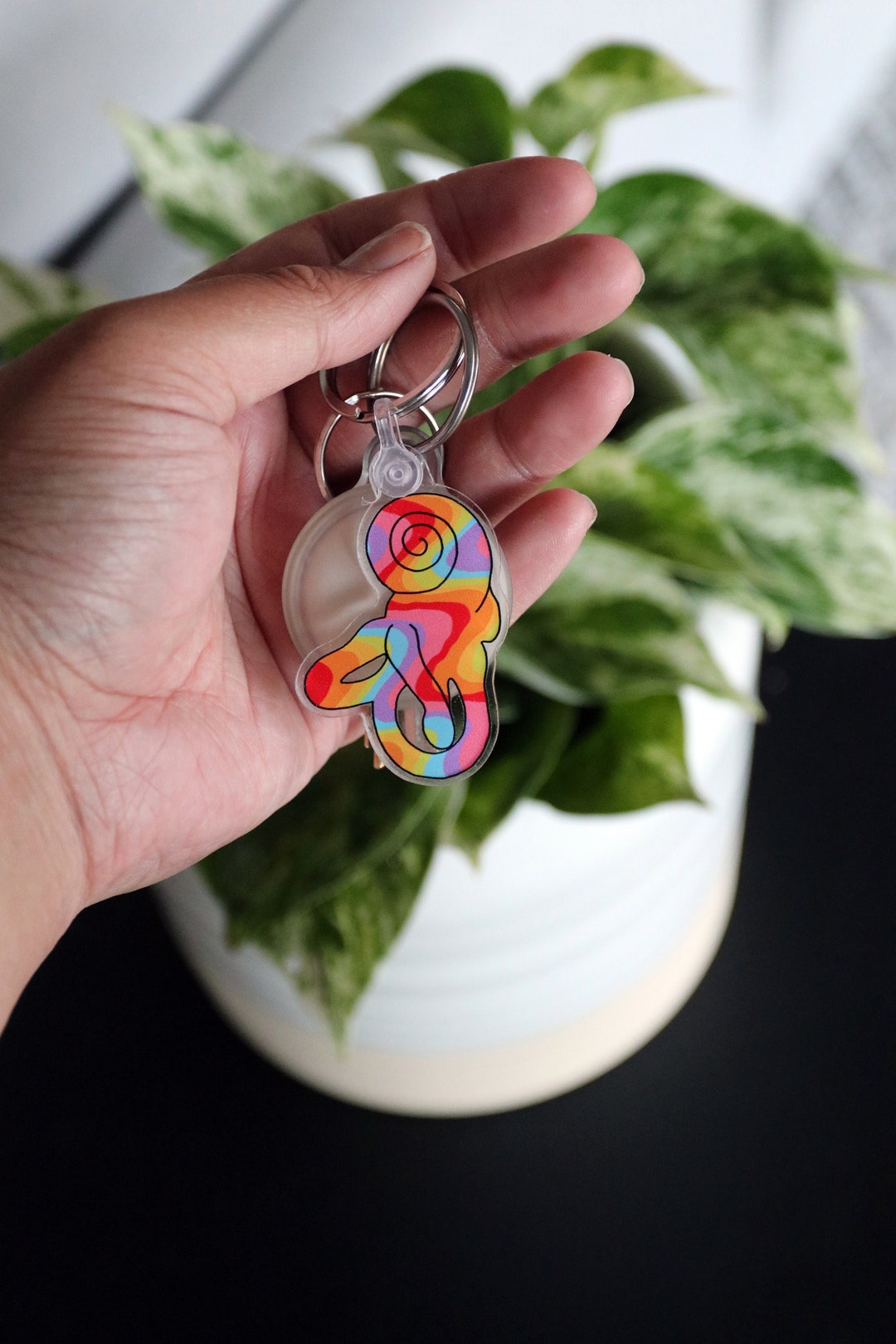 Rainbow Cochlea Acrylic Keychain, Audiology, Audiologist, Grad School ...