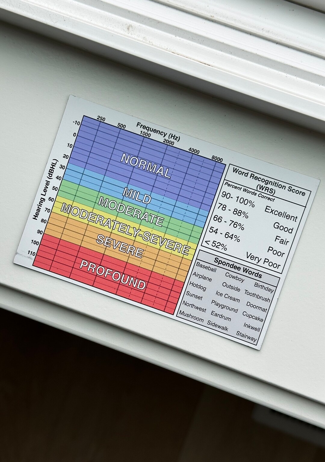 Audiology Cheat Sheet Magnet, Audiology, Grad School, Audiologist Gift ...