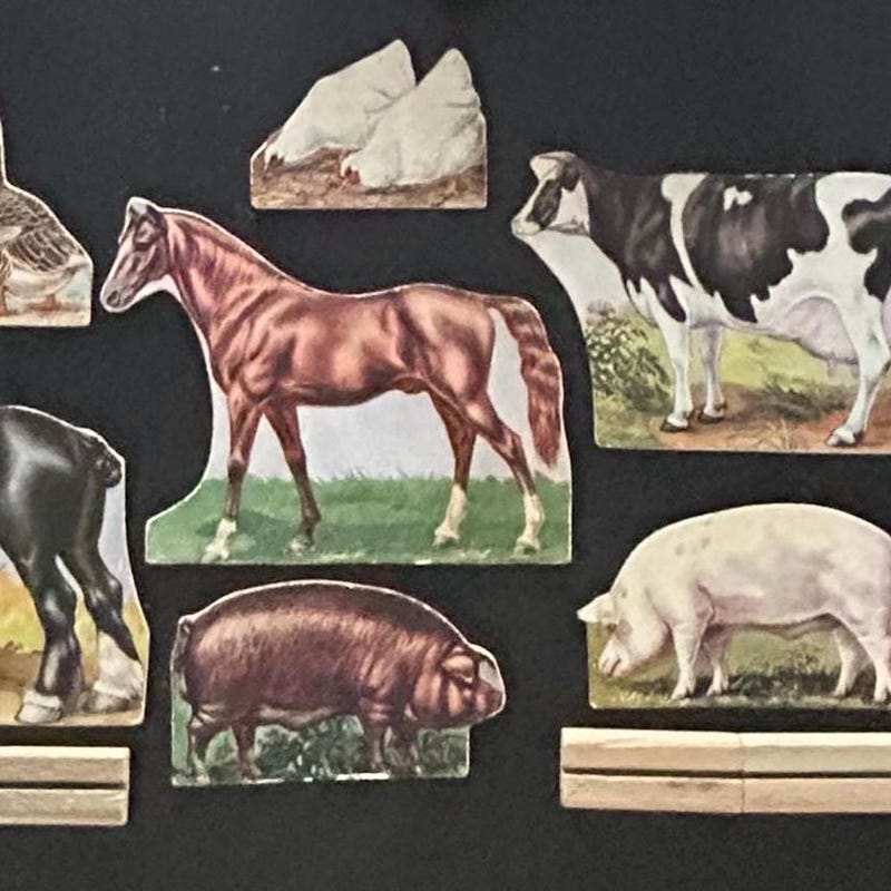 Cardboard Animals - Etsy