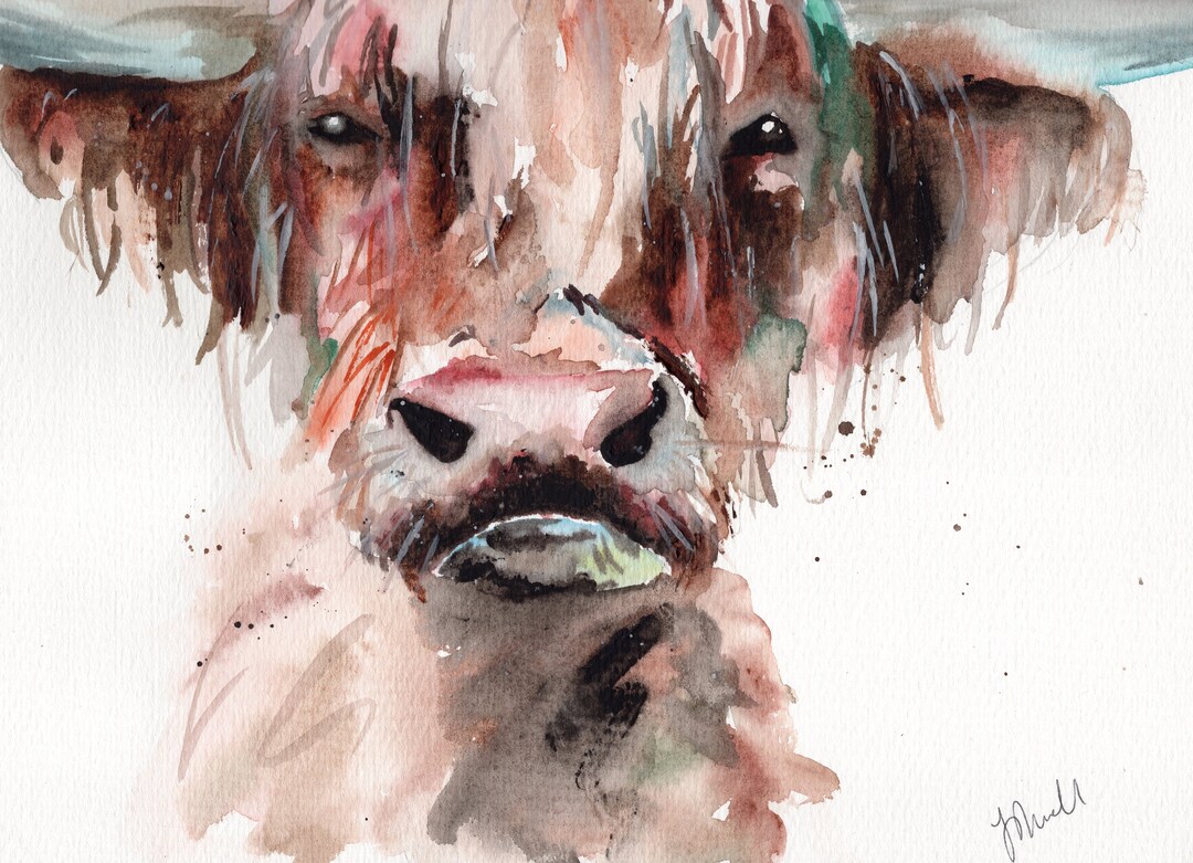 Art Print of Watercolour Highland Cow A4 Unframed - Etsy