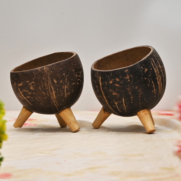 Coconut Plant Pot - Etsy