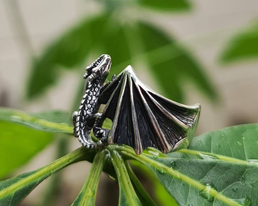 European Dragons In Flight