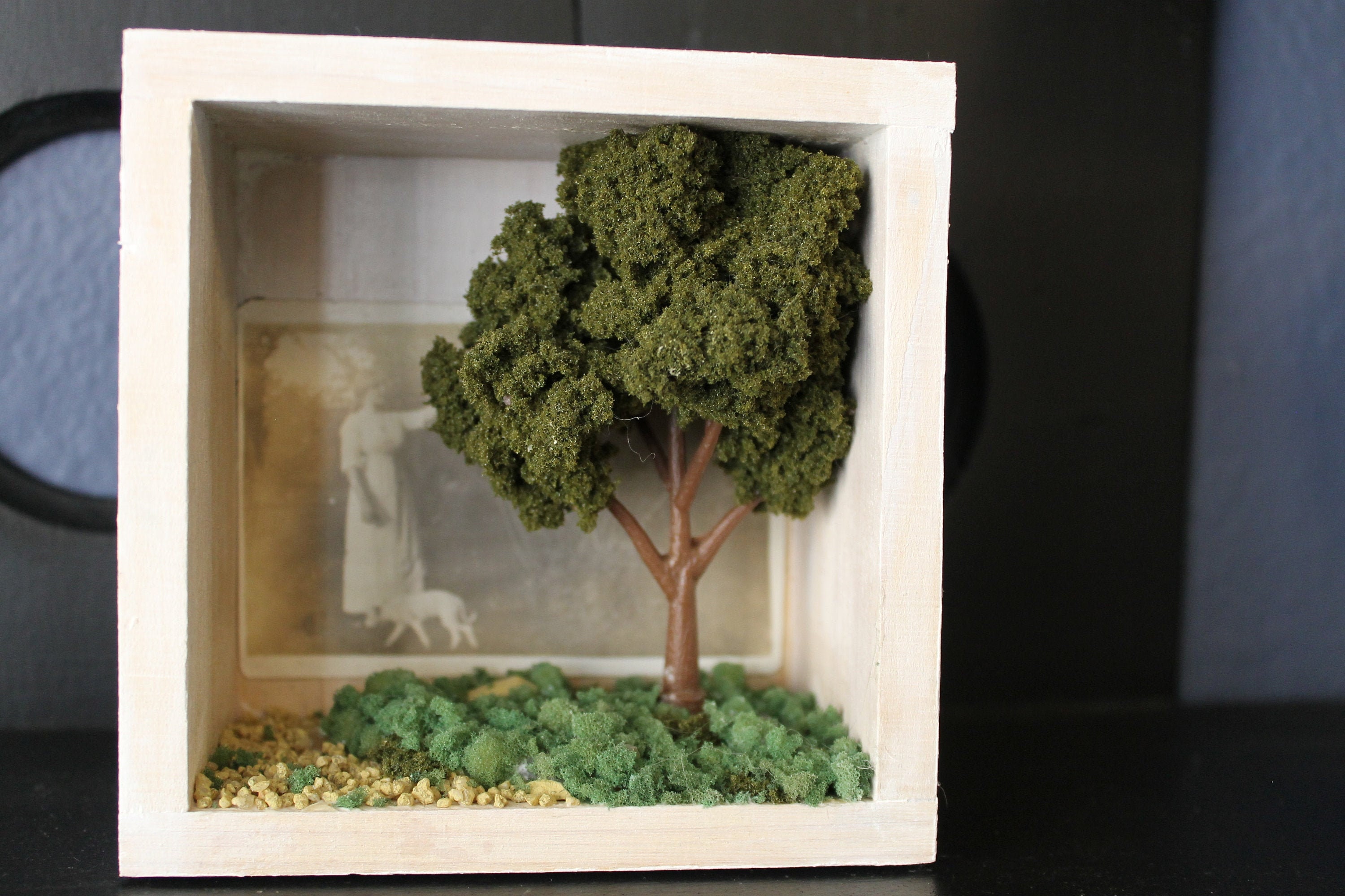 Handmade Diorama Vintage Photo Box Girl With Tree and Dog - Etsy