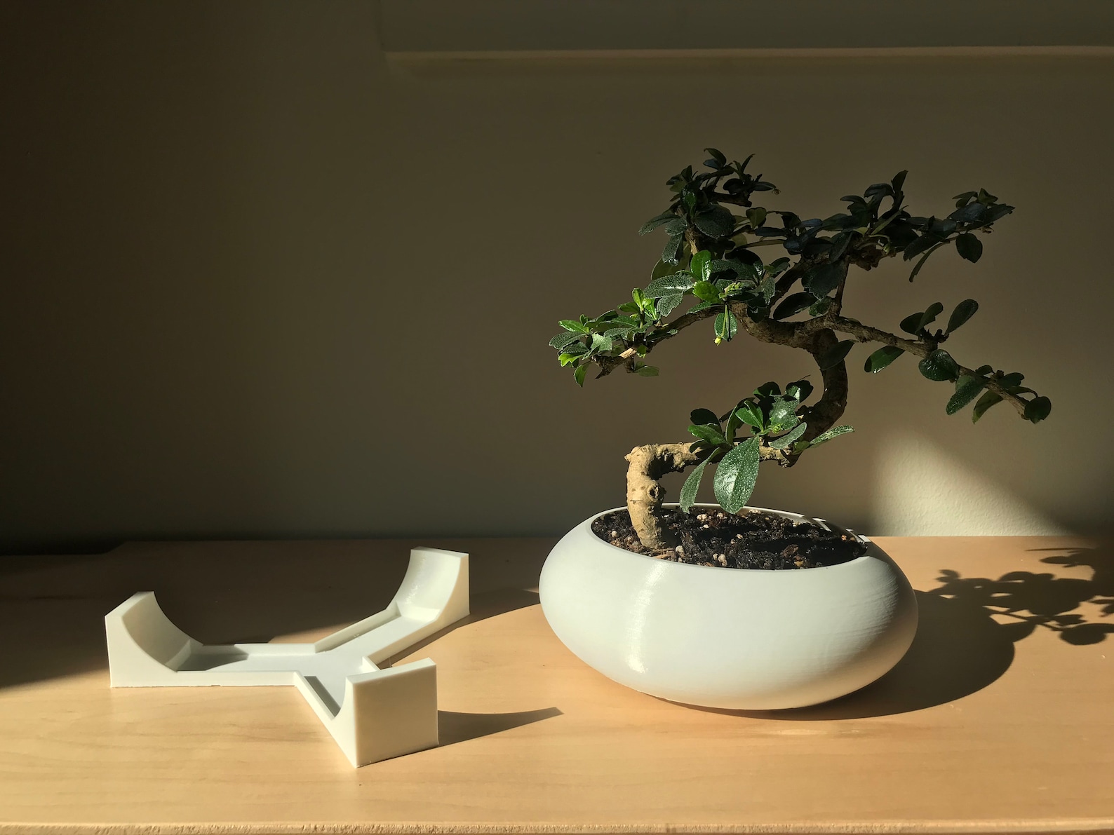3D Printed Parametric Minimalist Bonsai Pot bonnie - Etsy Australia
