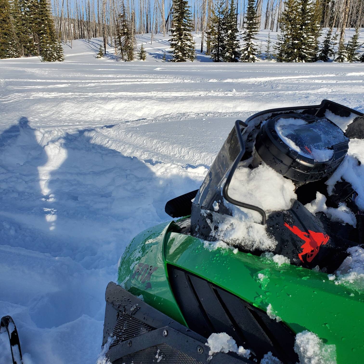 Snowmobiling Bigfoot Decal Biggie Smallfoot - Etsy