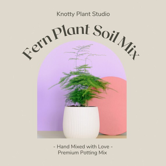 Ferns, Grasses & Bamboo Plants Free Shipping Premium Potting Soil Blend ...