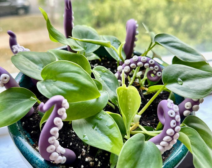 Purple Sea Creature Tentacles - Halloween Decor - Plant Friend - Fall ...