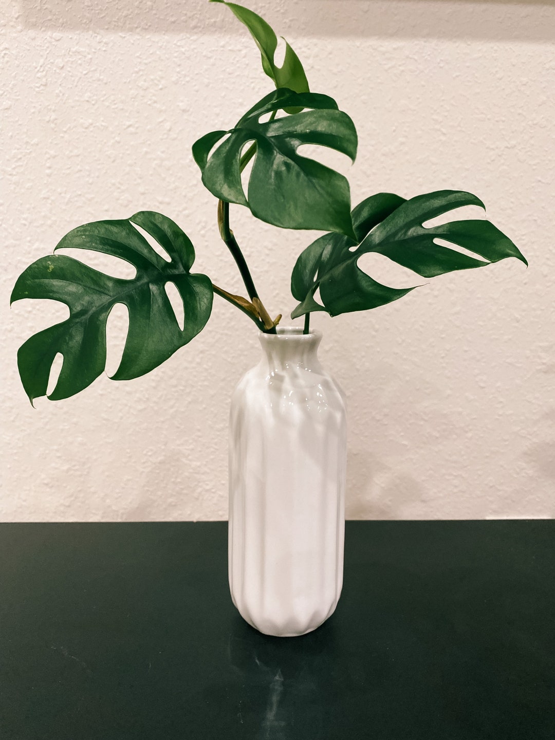 Ceramic Plant Propagation Container: Modern Water Rooting Vessel, Made ...