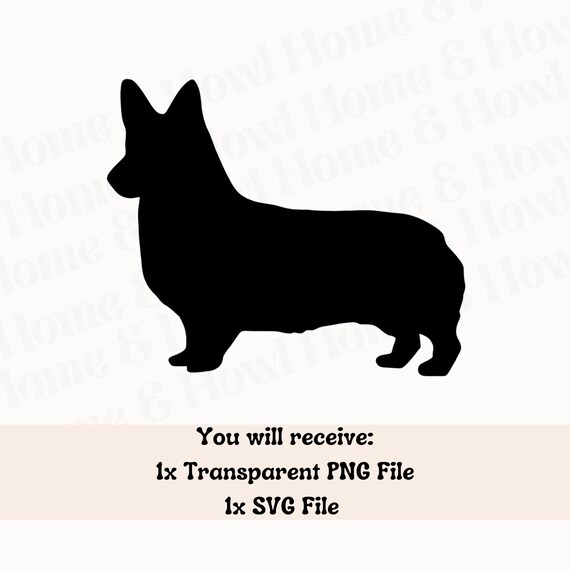 Do Pembroke Welsh Corgi Howl