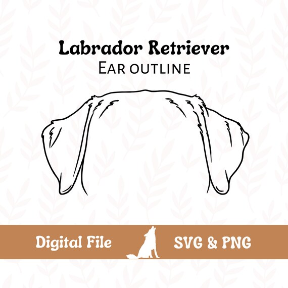 Labrador Retriever Dog Ear Outline SVG Cut File and PNG File - Etsy Israel