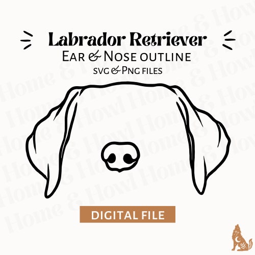 Labrador Retriever Dog Ear Outline SVG Cut File and PNG File - Etsy ...