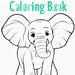 12 Page African Animal Themed Coloring Book (for Children) - Digital ...